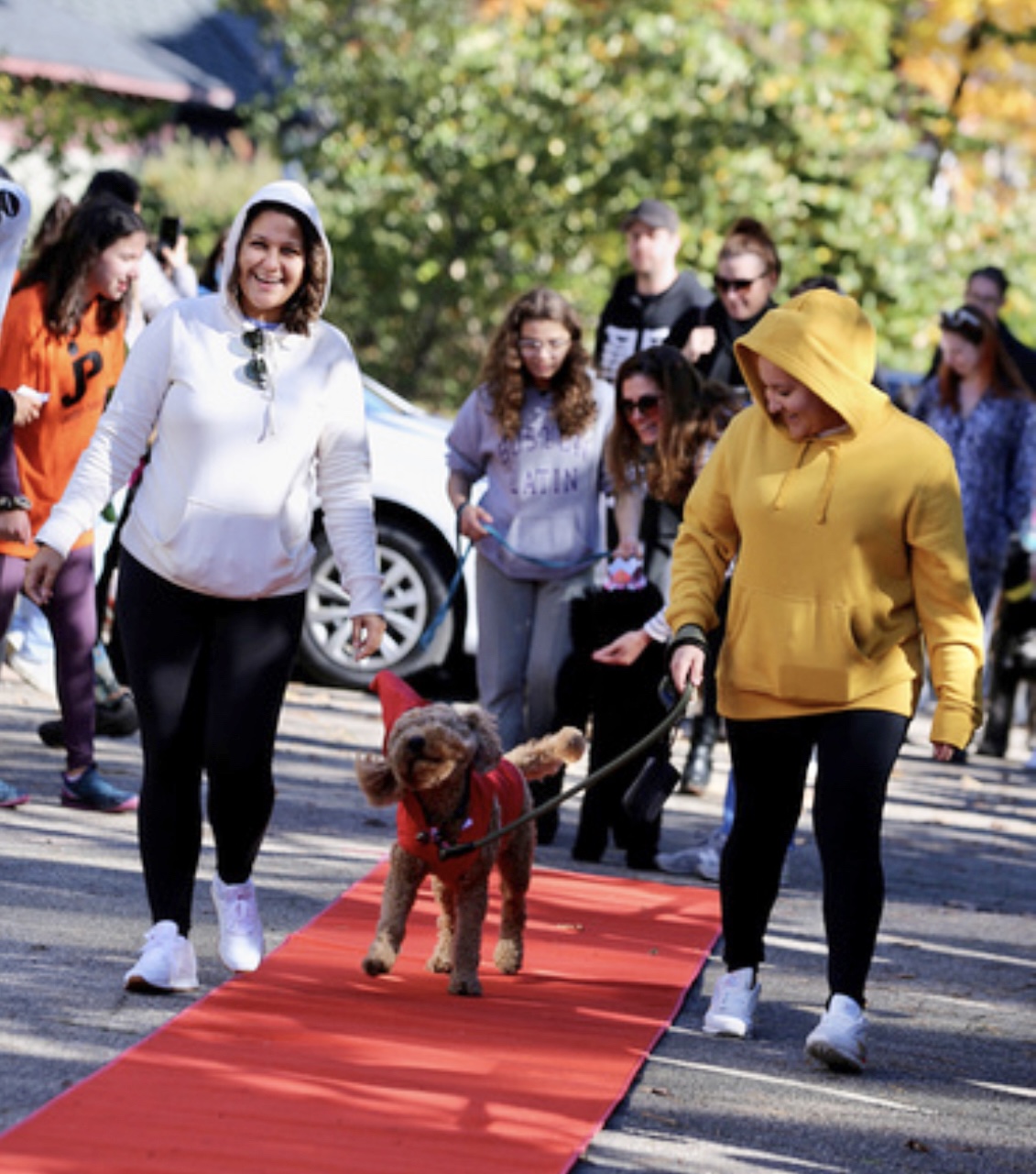 This past week in Jamaica Plain … – JP Centre/South Main Streets